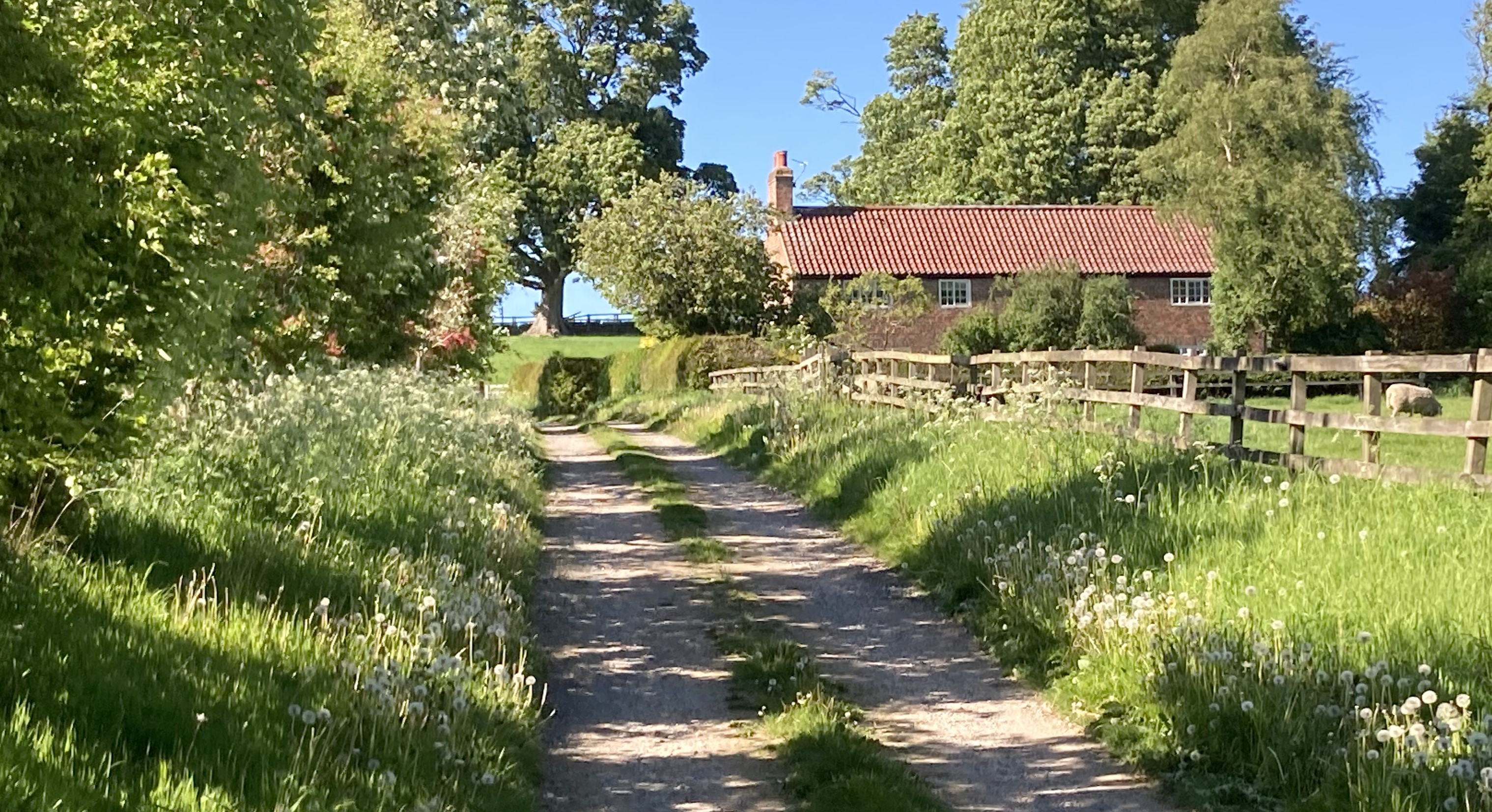 warrenhousefarmcottages